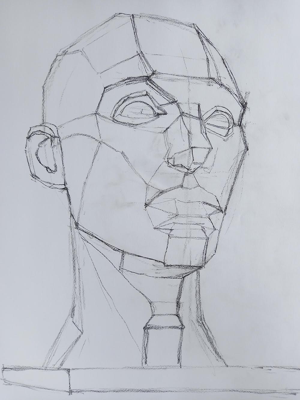 Drawing the Structure of the Head - Selwyn Community Education